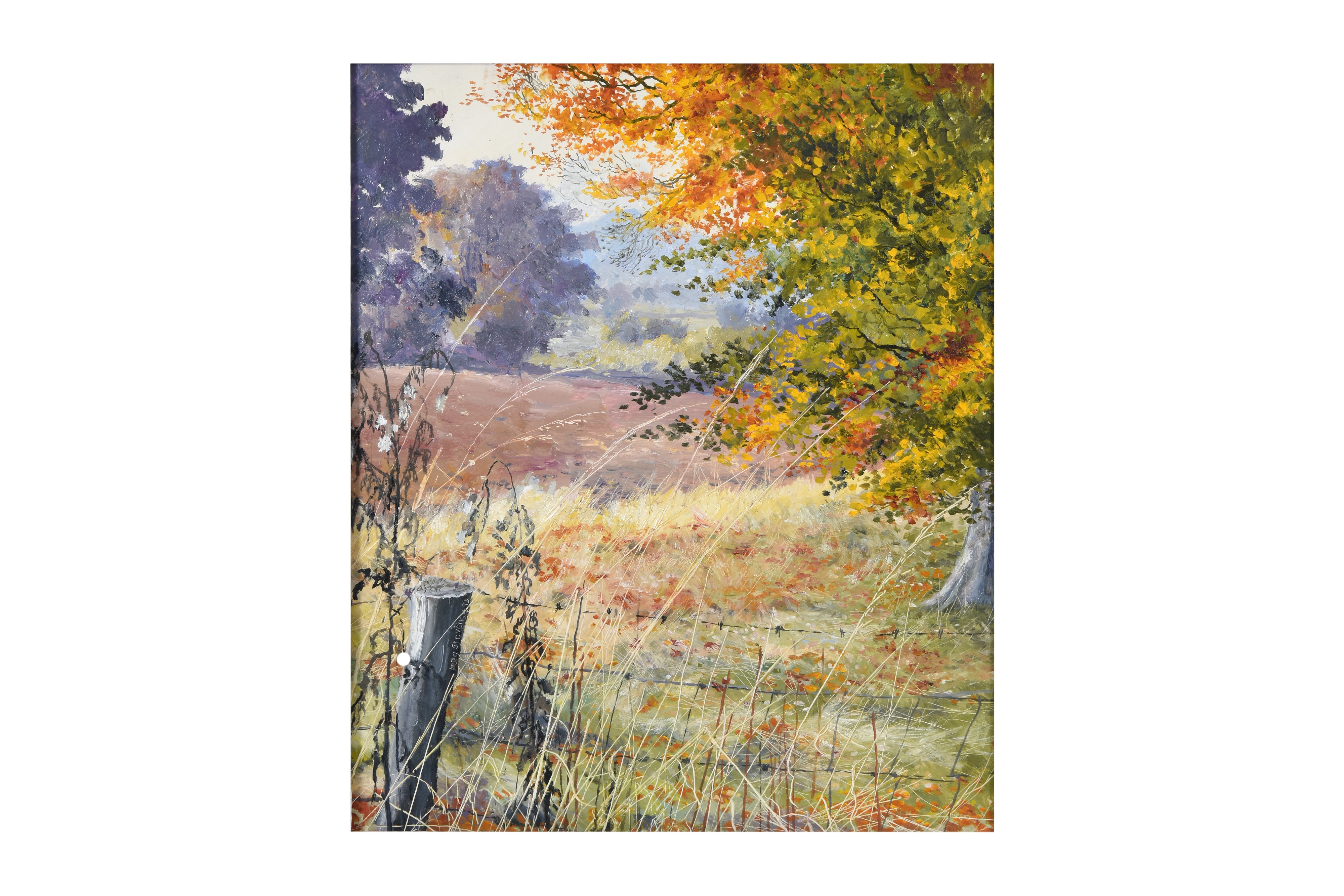 Lot 249 - MEG STEVENS (English 1931 - 2012)